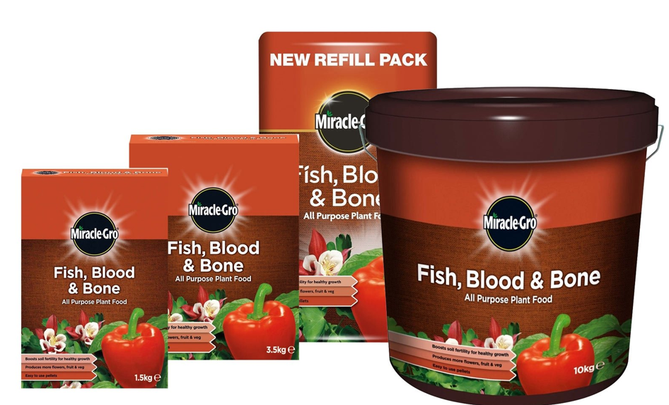 Miracle-Gro Fish, Blood & Bone All Purpose Plant Food 3.5kg - NWT FM ...
